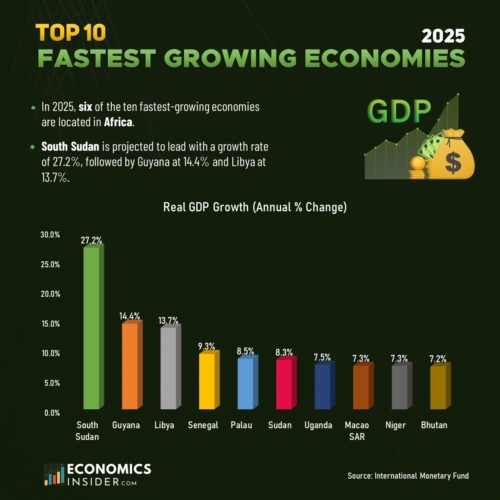 The Top 10 Fastest Growing Economies in The World 2025