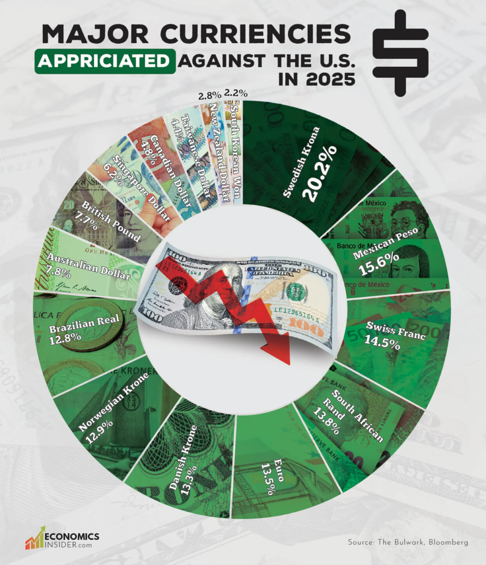Top 16 Major Currencies That Appreciated Against the U.S. Dollar in 2025